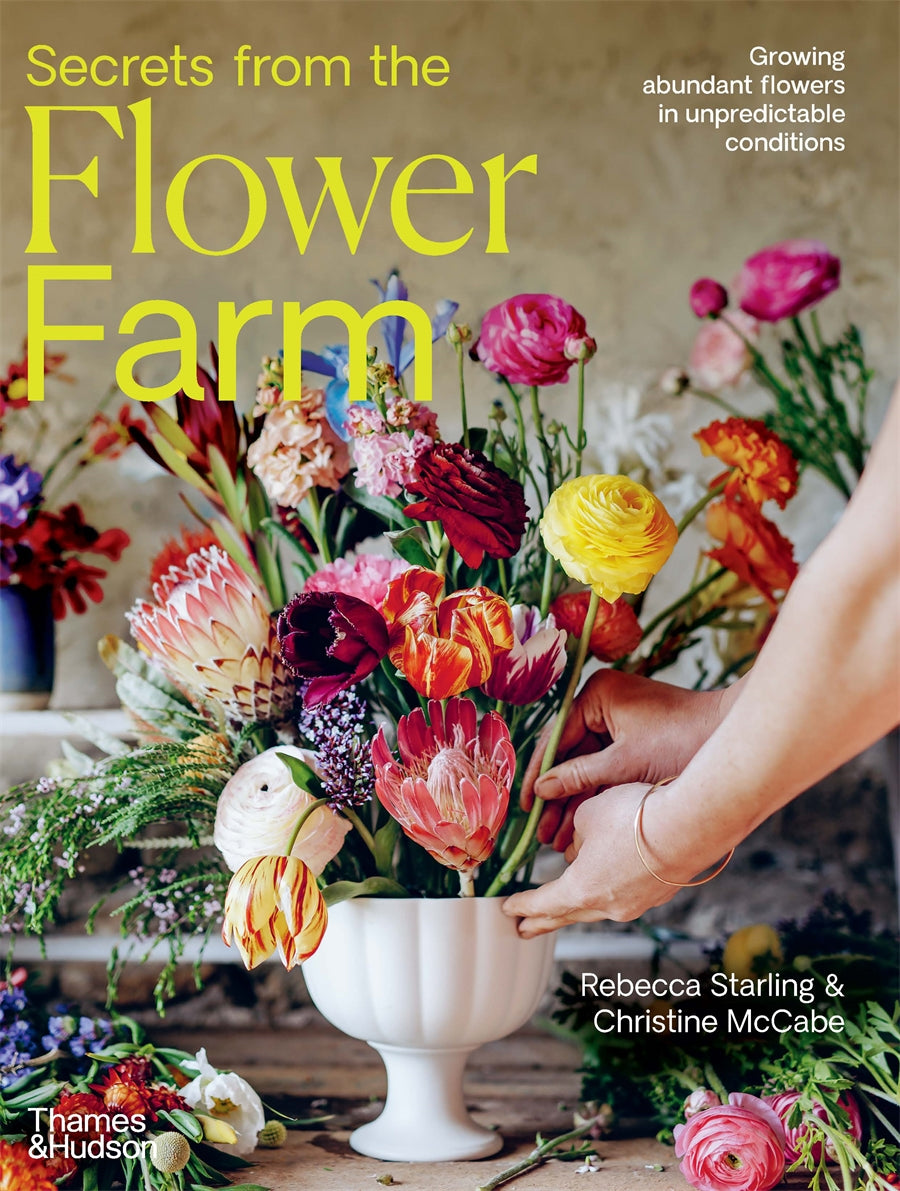 Starling Flowers | Artisan Flower Farm | Dahlias, Workshops, Weddings