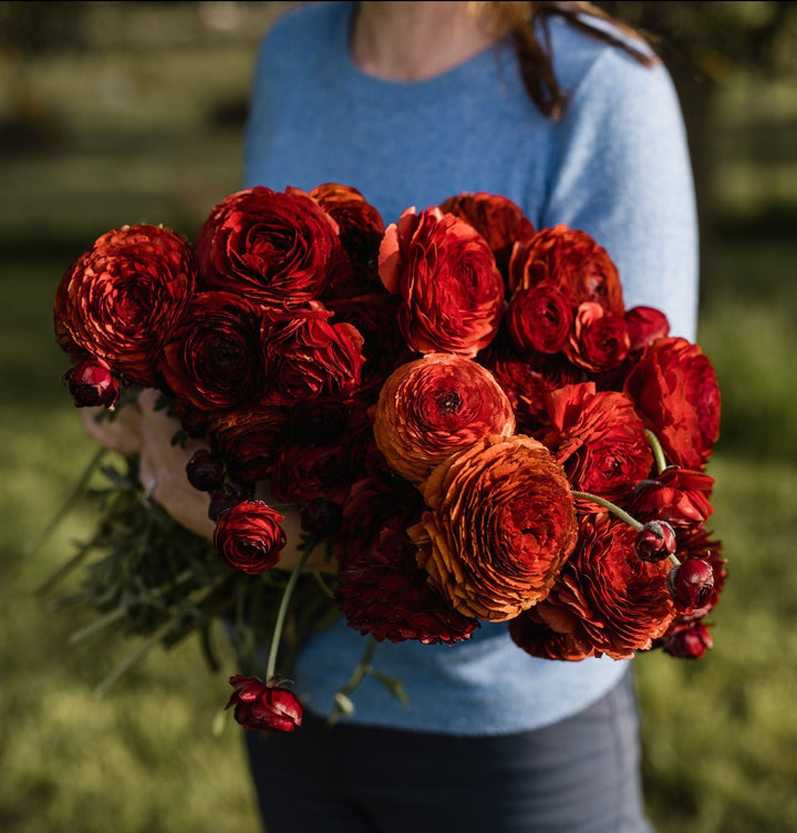 Starling Flowers | Artisan Flower Farm | Dahlias, Workshops, Weddings